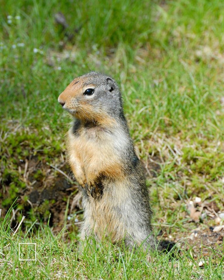 Best Pest Control Services | Facility Pest Control